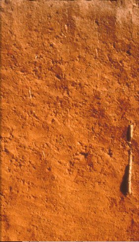 Digging into the USDA soil system: A translation for Canadians – Jaron ...